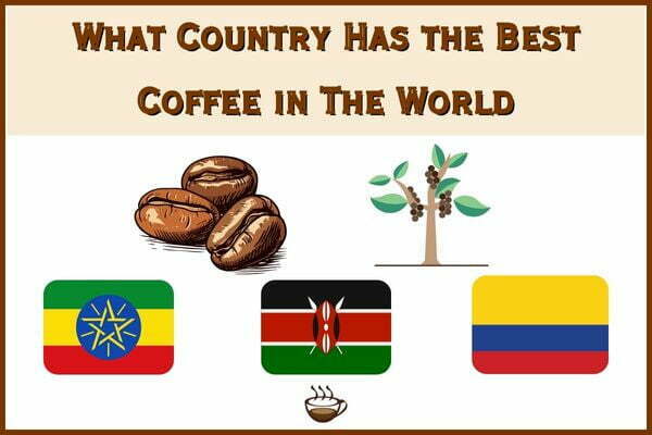 Top 6 Countries With Best Coffee In The World