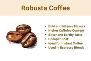 What Is Robusta Coffee (All You Need To Know!)