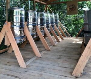 Coffee Processing 101: All Methods Explained!