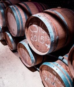 Fermented Coffee (What Is It And Why Is It Special?)