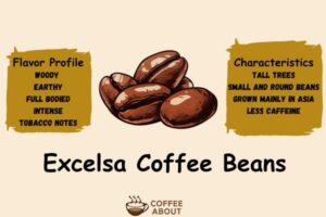 Excelsa Coffee Beans (All You Wanna Know Of This Variety!)