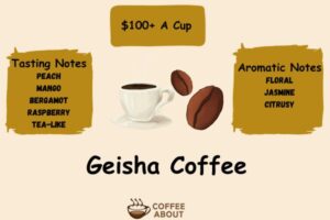 Geisha Coffee Beans | (Why Are They So Popular And Costly?)