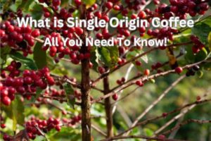 Single Origin Coffee (All You Wanna Know!)