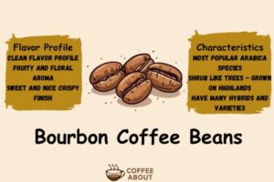 Bourbon Coffee (A Detailed Guide To Super Arabica Variety!)