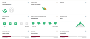 Pacamara Coffee (A Detailed Guide To Speciality Variety!)