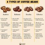 Types Of Coffee Beans Explained (Varieties And Cultivars)